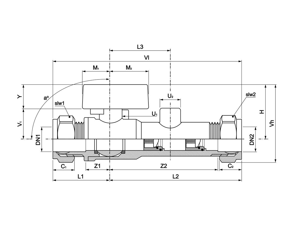 Combined Double Check Valve Isolating Valve