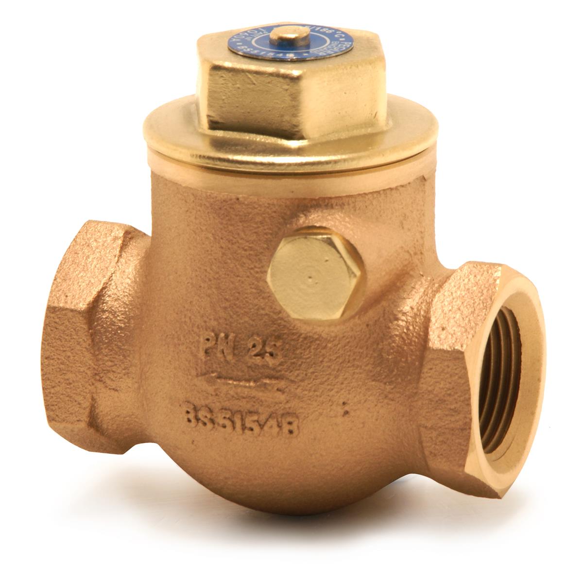 Pegler Check valve swing type