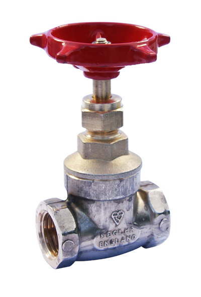 Pegler gate valve FF Rp3" (DN80)