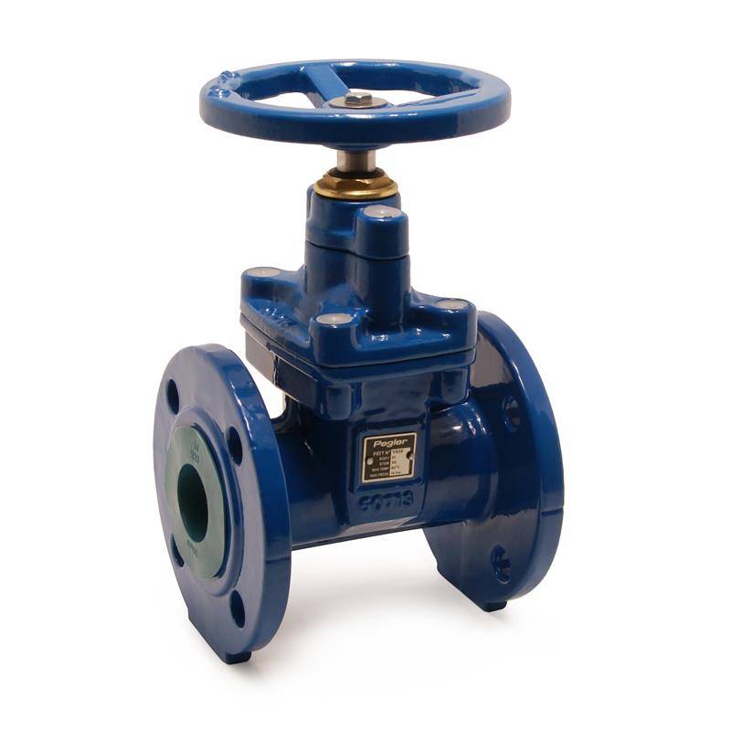 Pegler Gate Valve